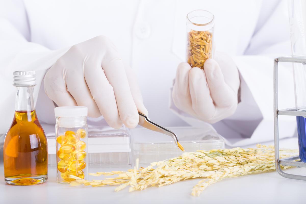Rice Testing Services - Tti Food Testing